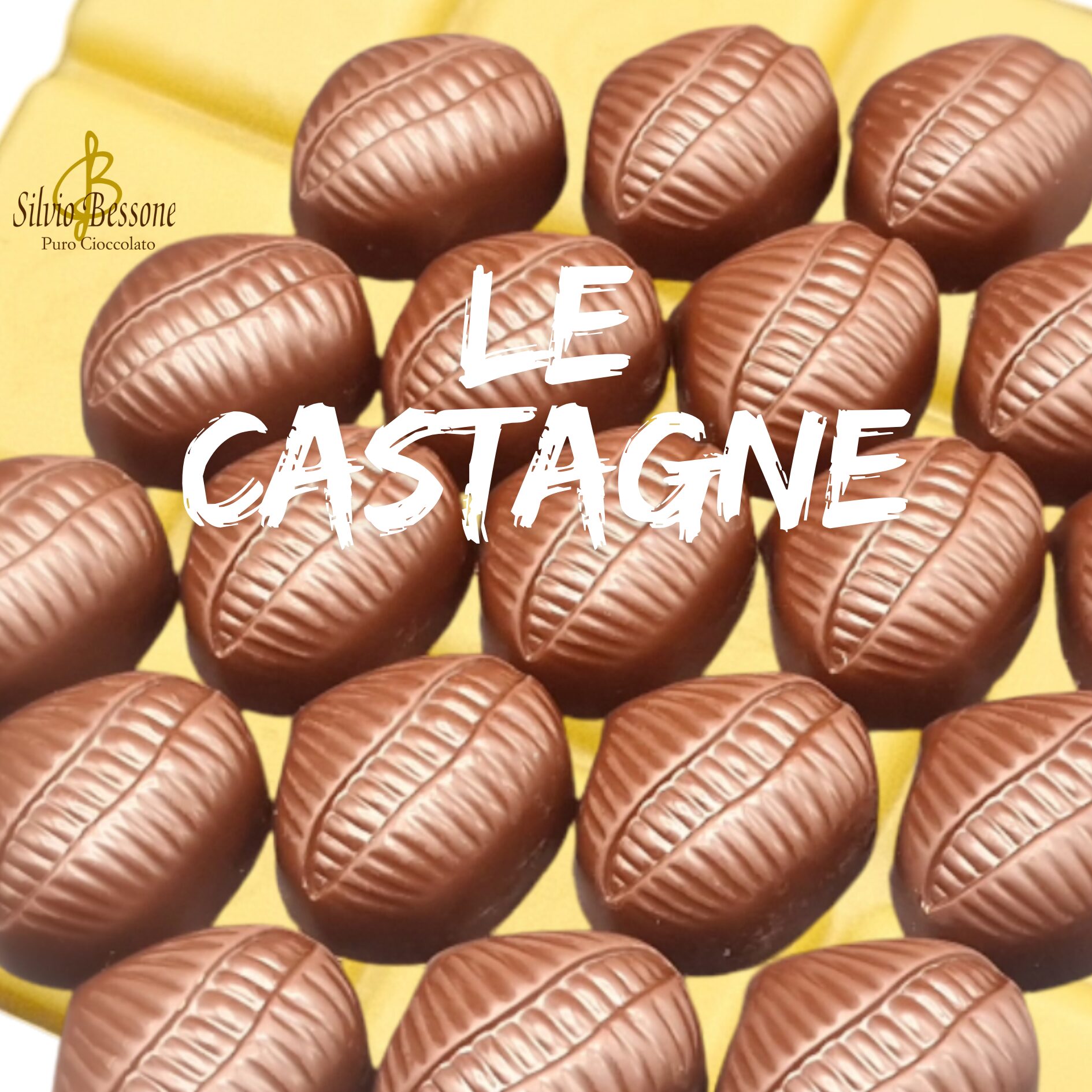 Le Castagne: Simbolo di Sopravvivenza e Tradizione - Silvio Bessone Blog